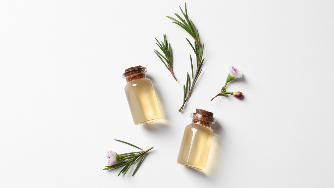 Tea Tree Essential Oil Benefits and Everyday Uses – Essentially