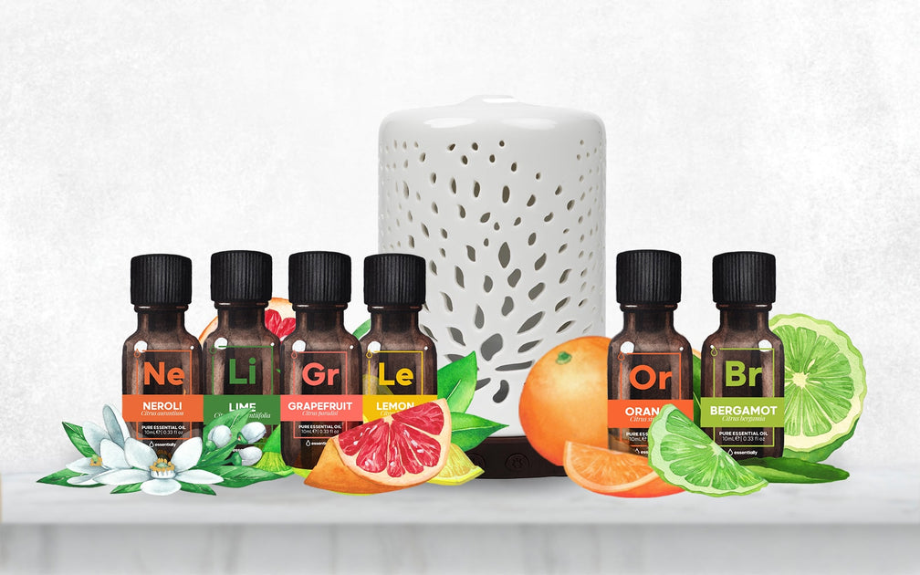 Bundles – Essentially