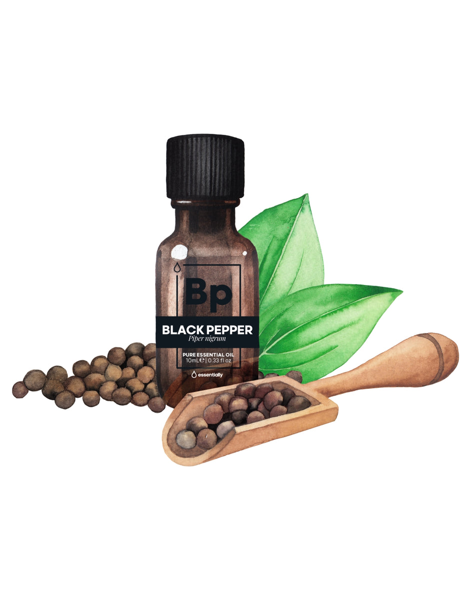 Buy Black Pepper Essential Oil 100% Pure Organic | Essentially