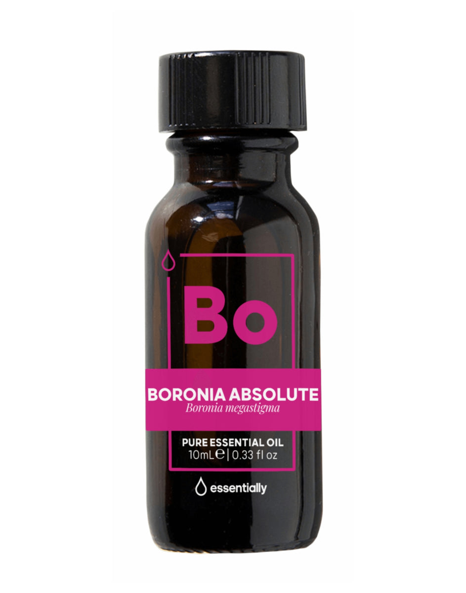 Boronia Absolute Pure Australian Native Essential Oil (5%) in Organic ...
