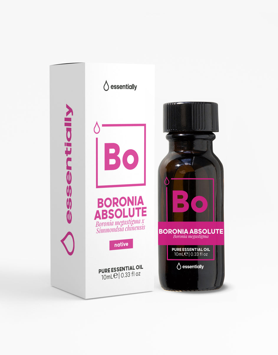Boronia Absolute Pure Australian Native Essential Oil (5%) in Organic ...