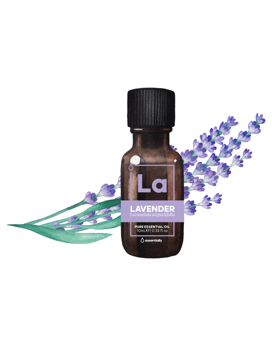 Lavender Pure Organic Australian Essential Oil Essentially