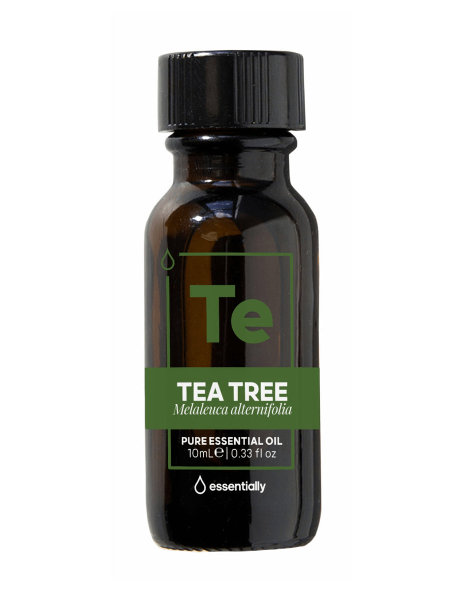Tea Tree Pure Australian Native Essential Oil – Essentially